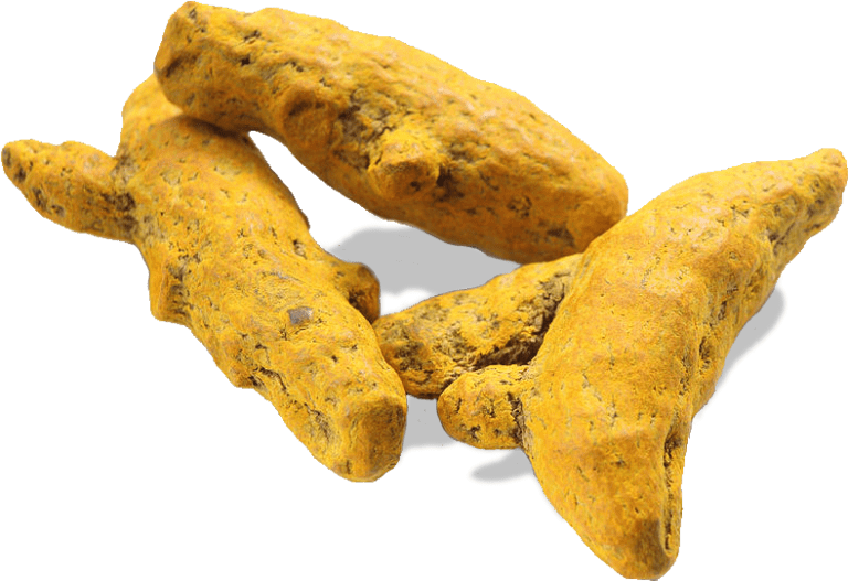 PikPng.com_haldi-png_1109983 | Prime Store Supply